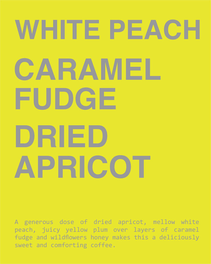 cool coffee roastery run on grl power – JAVA ROASTERS